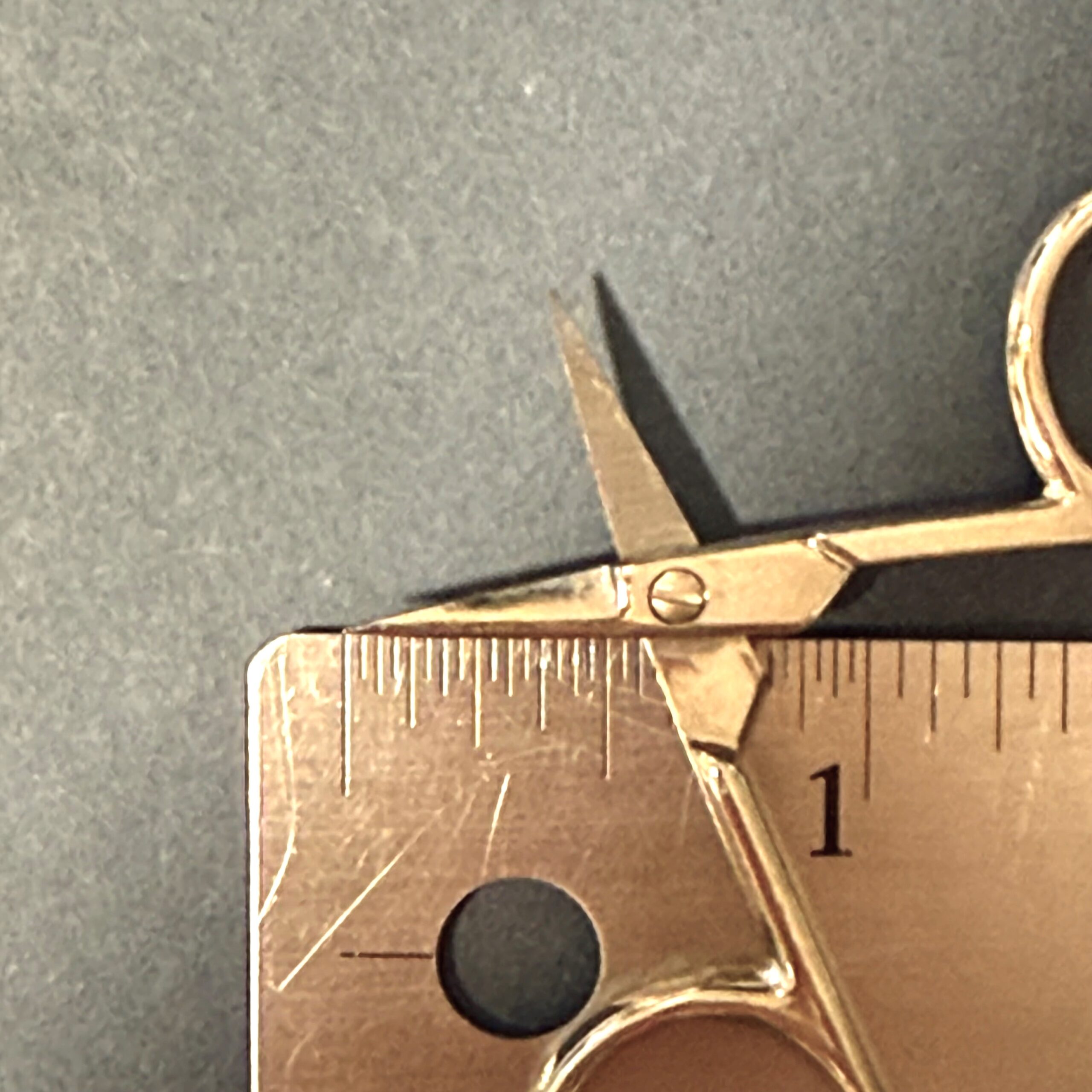 Petit Point Scissors Silver for Embroidery From Simply Scissors